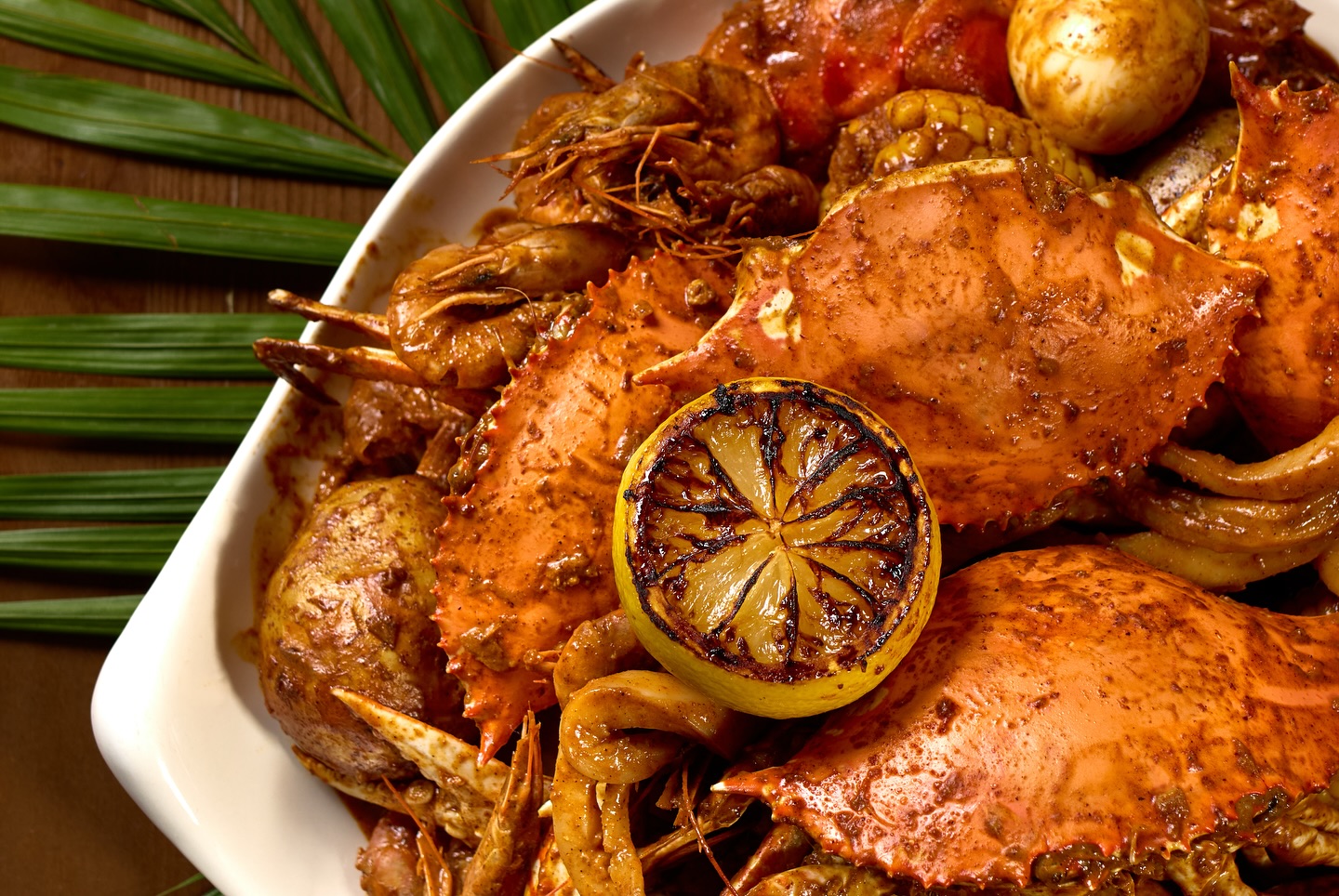 Cactus Lagos - Italawa